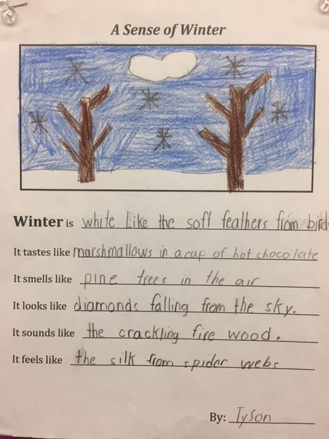 A Sense of Winter – Poetry « Mr. Jackson's Grade Three Class